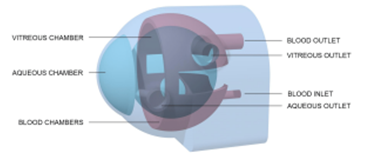 CORE Scientists Develop Low-Cost 3D Bio-Printing Method for Ophthalmic ...